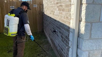 Home Pest Control Austin, TX | Aries Pest Control LLC